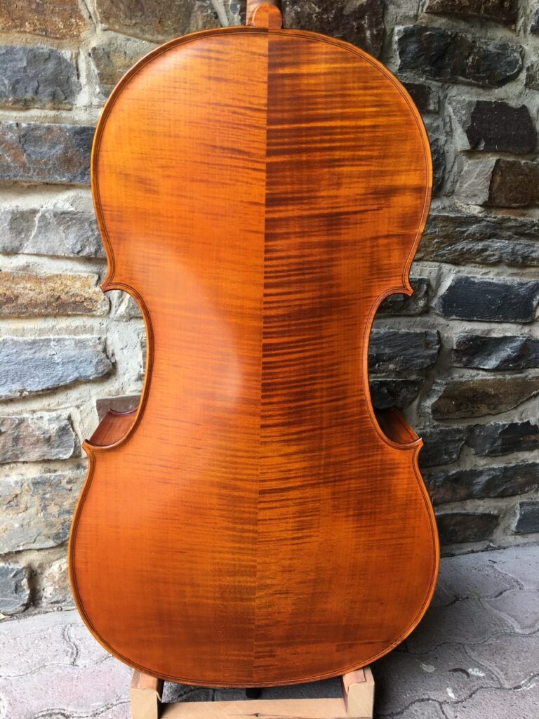 Gliga Vasile Advanced Cello - Bass Works Australia