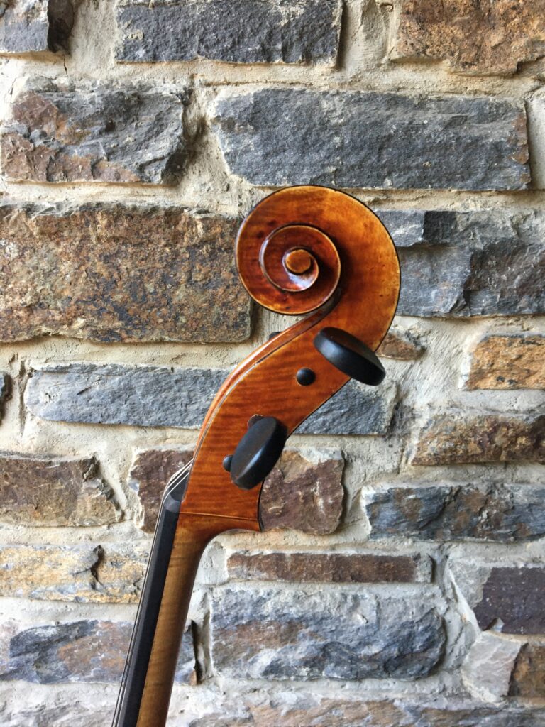 Raggetti Master Cello - Rocca 6.0 - Bass Works Australia